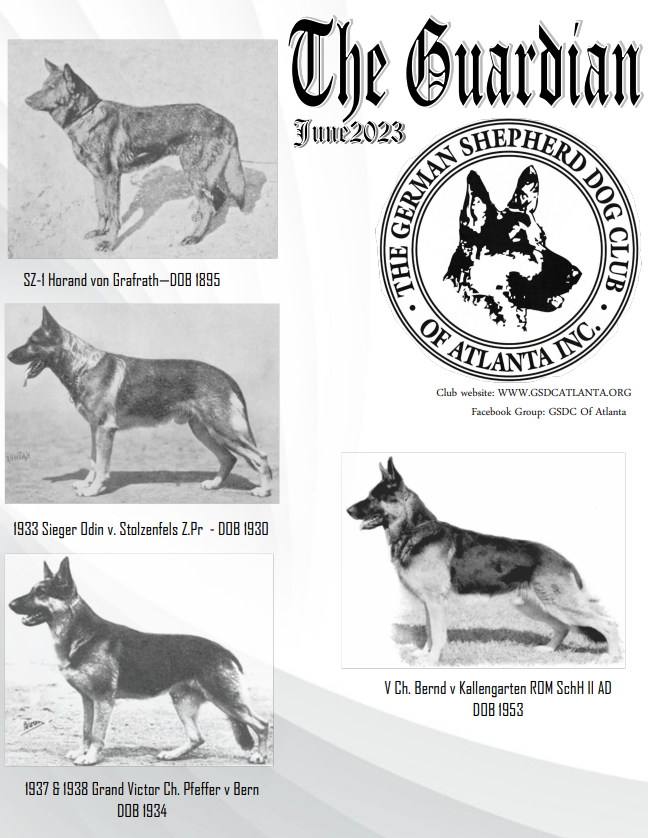 The Guardian | German Shepherd Dog Club of Atlanta